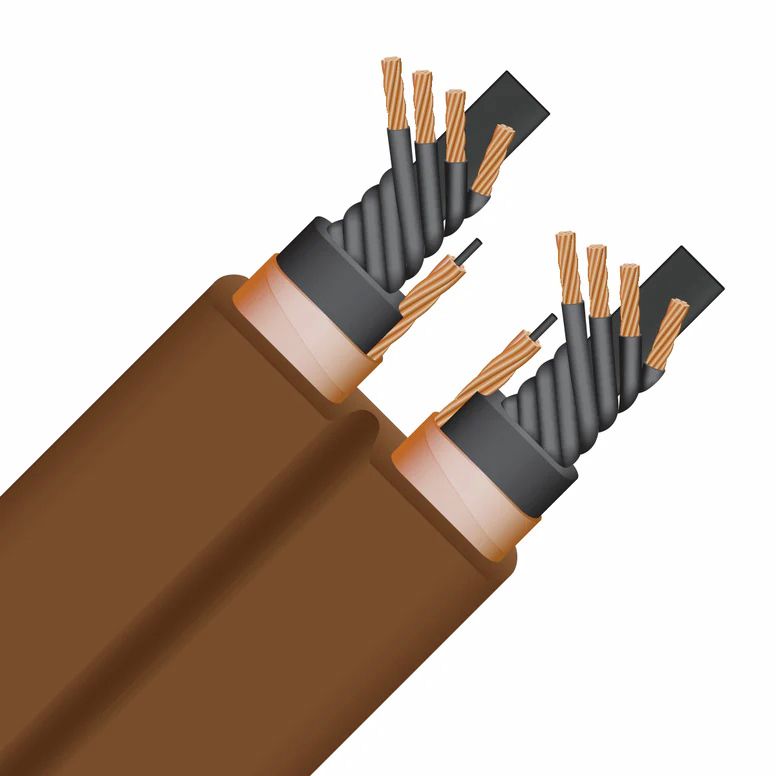 Wireworld Electra 10 - Netzkabel